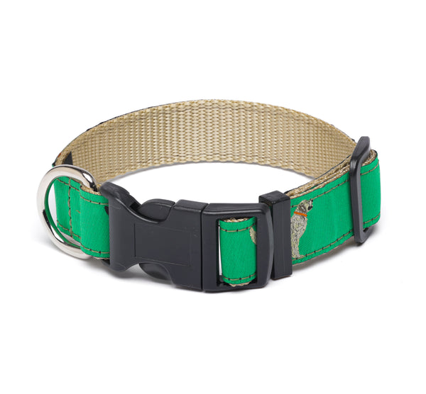 Bird Dog Breeds Ribbon Dog Collar - Zep-Pro – JAVI Sports